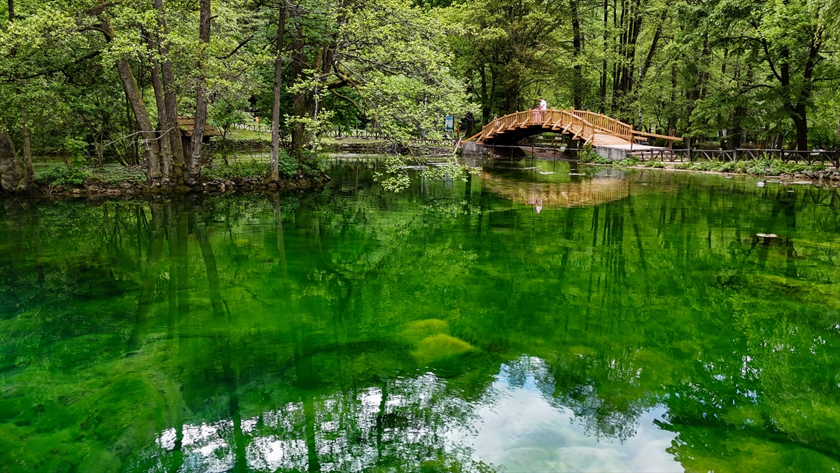 Spomenik prirode Vrelo Bosne, prirodni biser